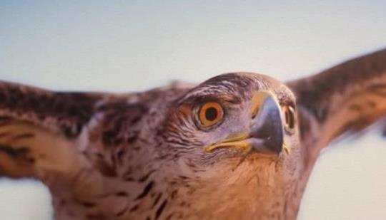 In Assassin’s Creed Origins, Players Can Explore The Entire Map And ...