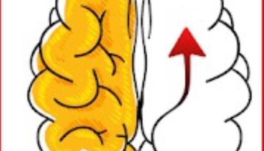 Brain Out: All Answers and Solutions to All Levels, Stages, and ...