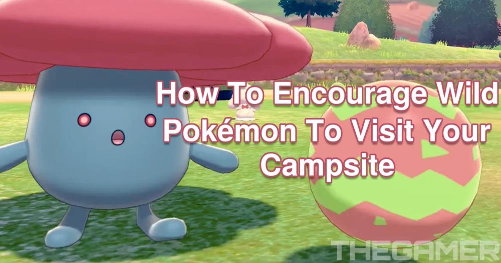 Pokémon Sword & Shield: How To Encourage Wild Pokémon To Visit Your ...
