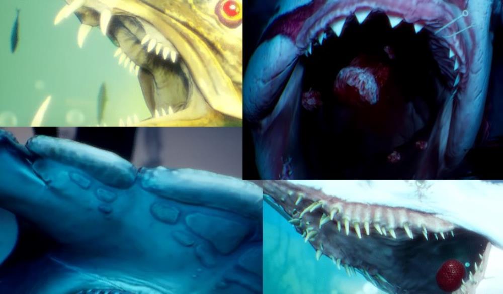 Maneater Guide – All Apex Predators | Apex Predator Locations | N4G