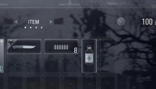 Resident Evil Village Currency Suggests It Will Take Place in Romania | N4G