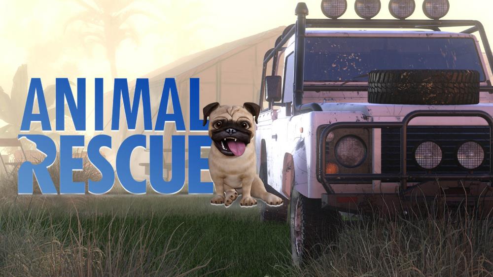 Animal Rescue confirmed for Xbox One, Xbox Series X|S, PS4, PS5, Switch ...
