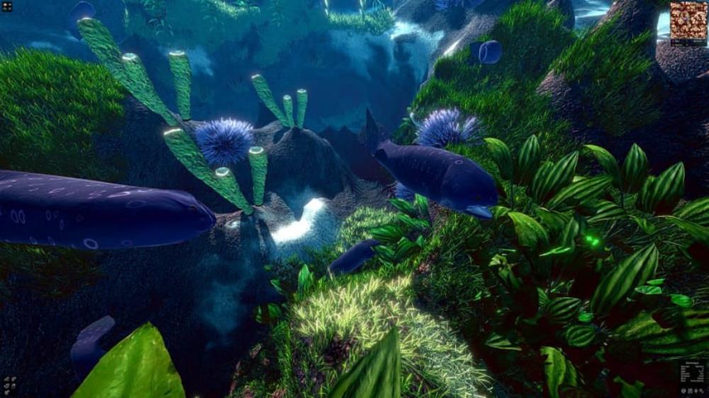 Ocean God Game Ecosystem Soon Swims Onto Steam's Early Access | N4G