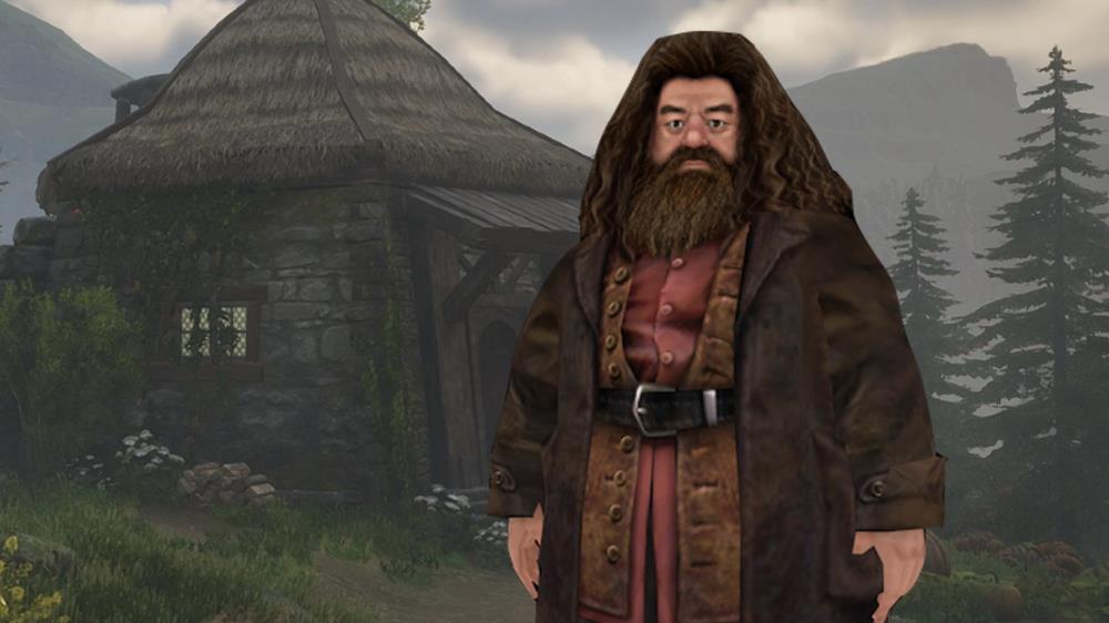 Harry Potter fans find Hagrid actor tribute in Hogwarts Legacy | N4G