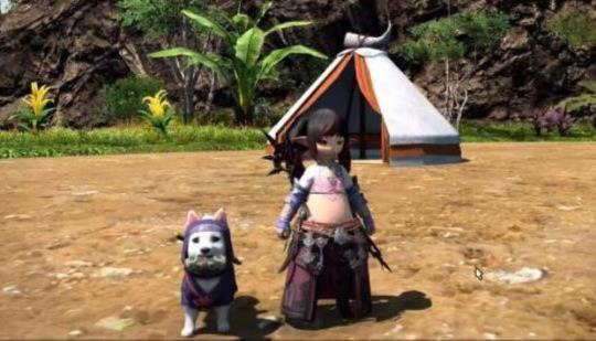 Final Fantasy XIV Update 6.4 Gameplay & Details Revealed: Island Sanctuary Decoration & Much ...