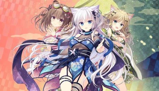 Neko Nin Exheart Spin Localization Announced Neko Nin Exheart Coming To Nintendo Switch N4g 