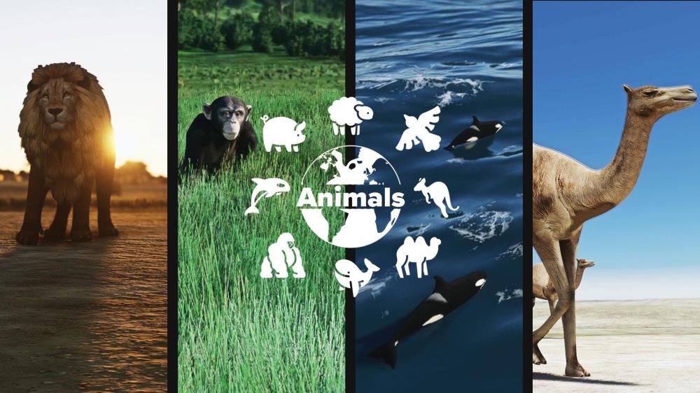 "Animals" Microsoft Flight Simulator Add-on Turns it Into a Nature ...