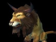 World of Warcraft: New Tauren Cat Form Revealed | N4G